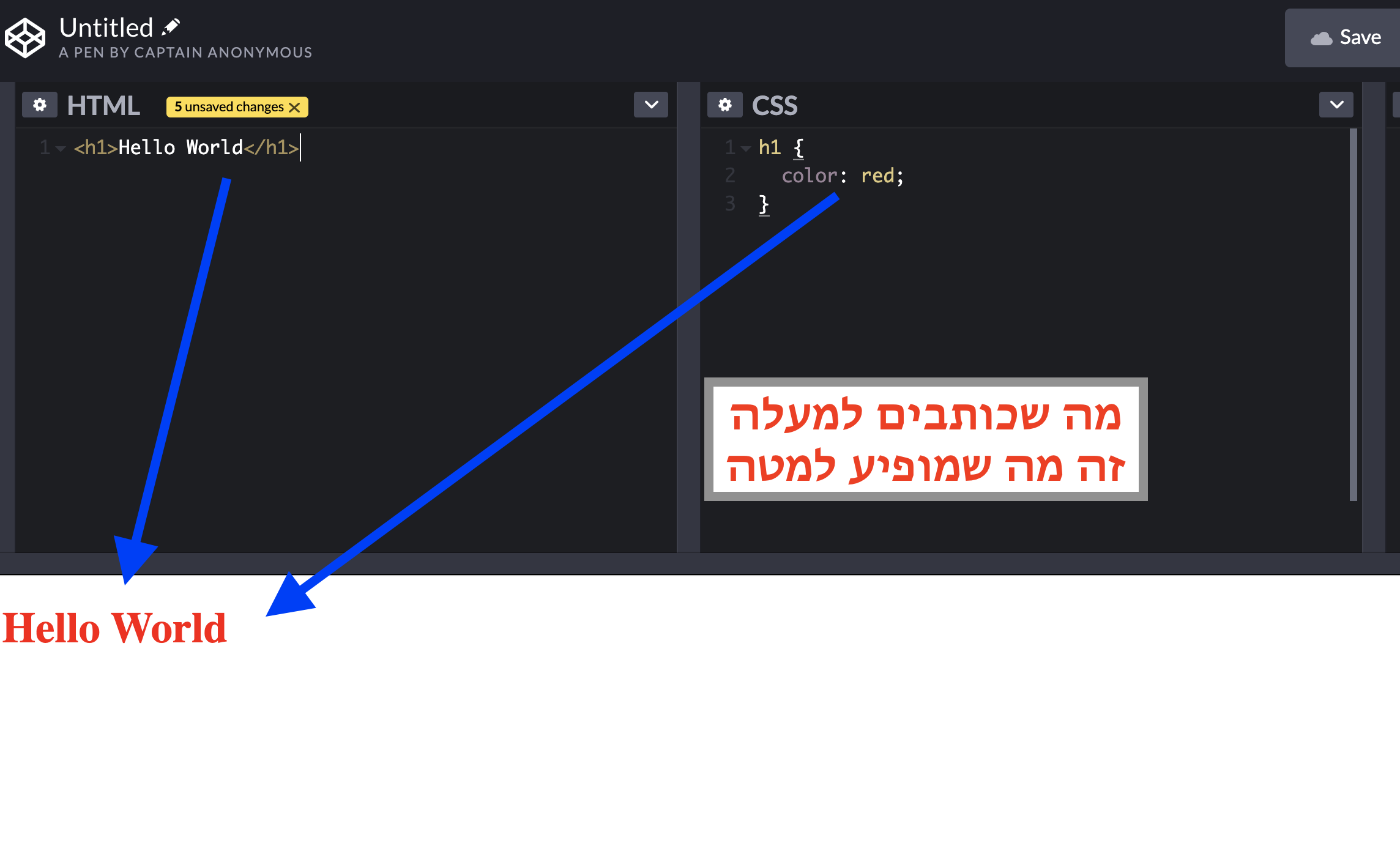 Codepen example 